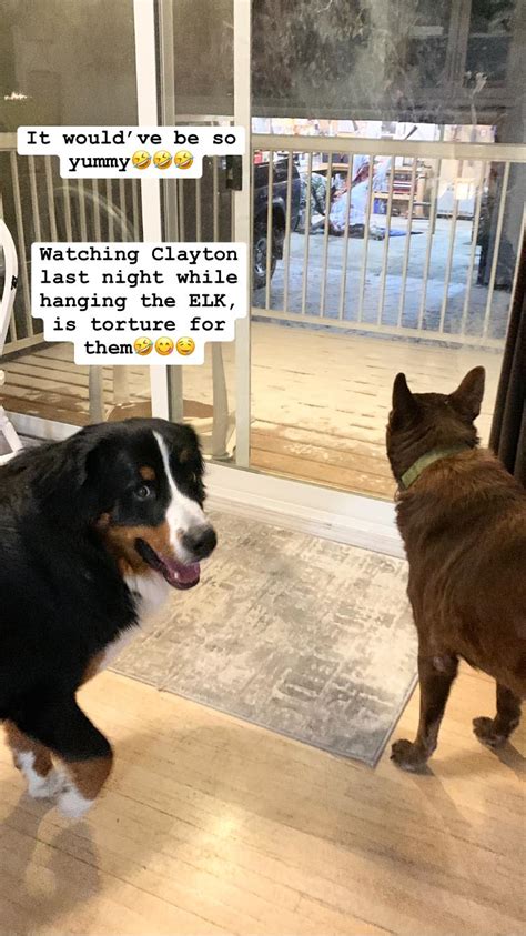 Now Coco Looks Like A Pup Size And Wendy Ocampo Bathgate Facebook