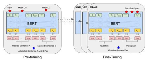 building bert with pytorch from scratch