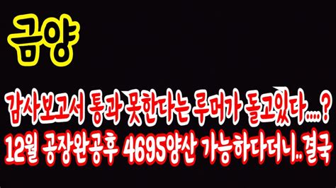 금양 주가전망 어렵네요 Youtube