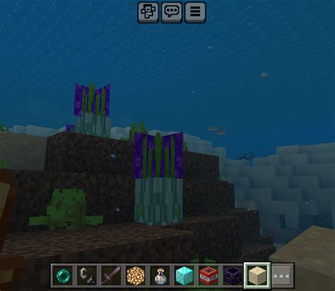 Minecraft Bug Rminecraft