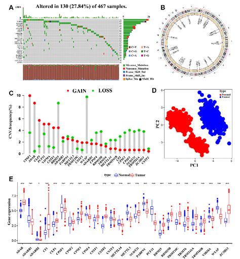 Figure 1 From Crosstalk Between Four Types Of Rna Modification Writers Characterizes The Tumor