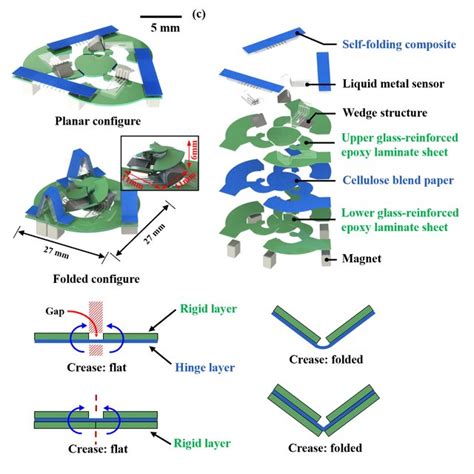 Design Of The Miniature Soft Sensor A Flat State Configuration B Download Scientific