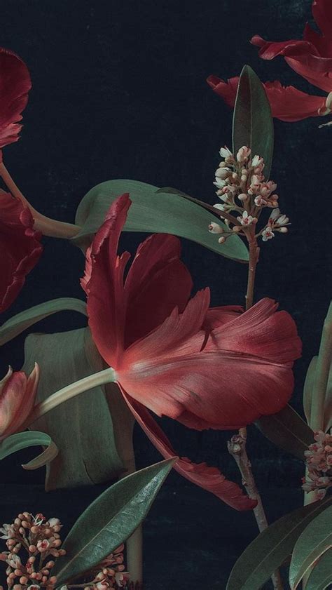 Пин от пользователя на доске Aesthetic Обои для Iphone Серые обои Цветочные фоны