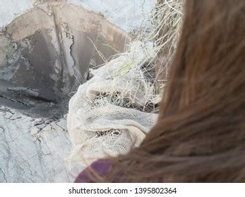 245 Transplanting Methods Plants Images Stock Photos Vectors Shutterstock