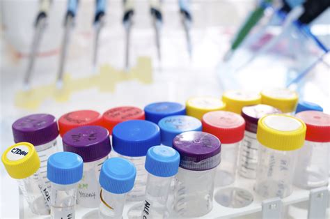 What Is Vitro Investigation Savialoxc