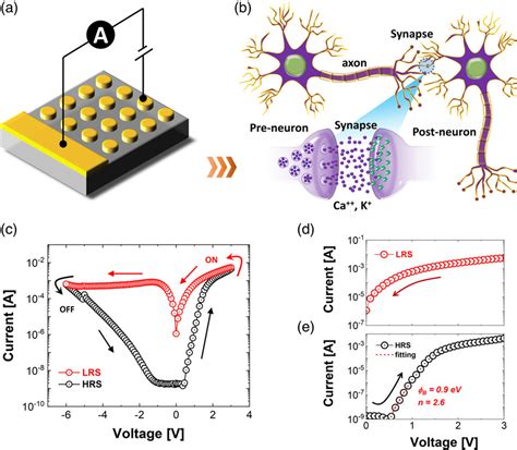 An Interface‐type Memristive Device For Artificial Synapse And