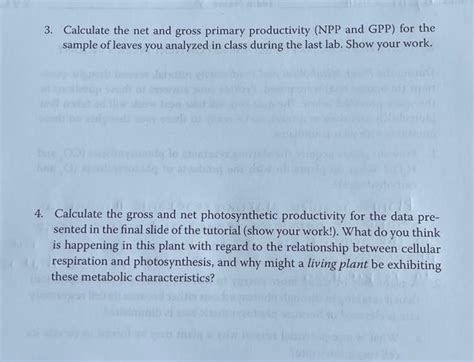 3 Calculate The Net And Gross Primary Productivity