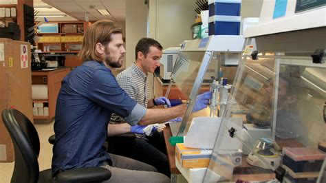 What Researchers Found Niche Partitioning And Dna Metabarcoding Hhmi Biointeractive