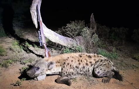 Trophy Gallery Wayne Wagner Safaris