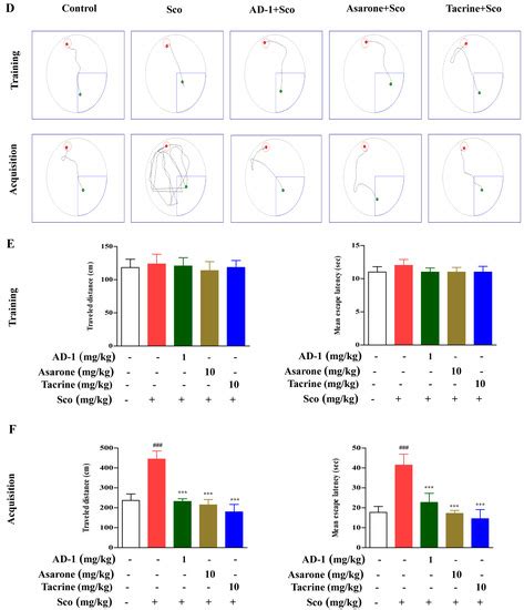 Ad−1 Small Molecule Improves Learning And Memory Function In