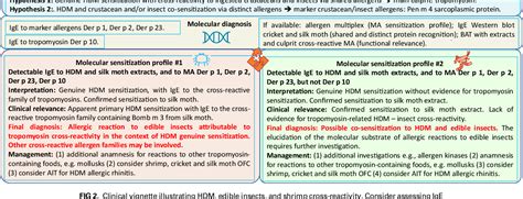 Figure 1 From A Systematic Review Of Allergen Cross Reactivity Translating Basic Concepts Into