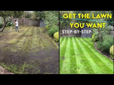 How to FIX an UGLY Lawn | Step by Step for Beginners EASY Lawn ...