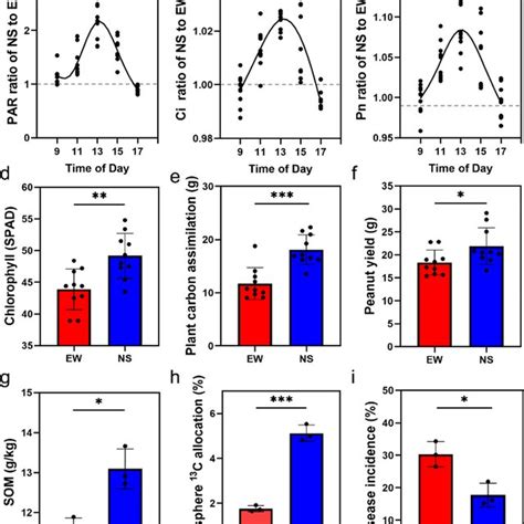 Row Orientation In The Field Intercropping System Influences The