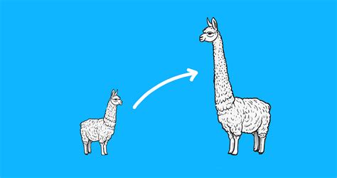 Position Interpolation Extending Context Window Sizes In Large
