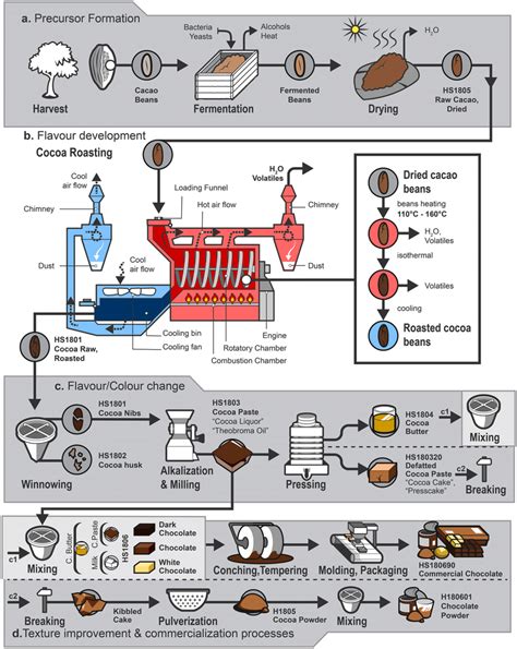 Cocoa Beans And Chocolate Process Diagram At Pedro Guevara Blog