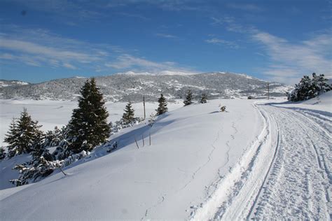 Къща за гости Тара Юндола