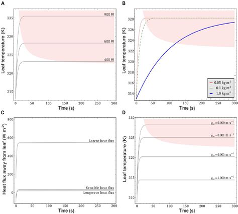Leaf Temperature And Flux Dynamics In Response To Sudden Illumination