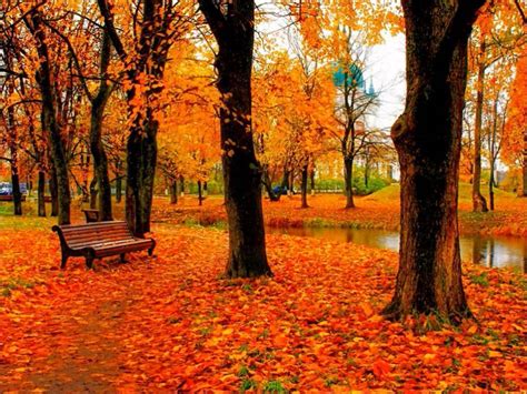 ΦΥΛΛΑ ΦΘΙΝΟΠΩΡΙΝΑ ΦΙΛΙΠΠΟΣ ΝΙΚΟΛΑΟΥ Youtube