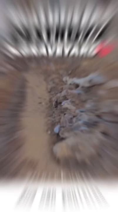 Syed Farhan Husain On Linkedin Shameful