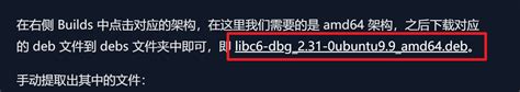 Glibc All In One 下载后 Failed To Download Package 怎么办 Ocarina Of Time