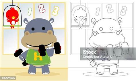 하마 만화 리프팅 바벨의 벡터 작은 새 색칠하기 책 또는 페이지 건강한 생활방식에 대한 스톡 벡터 아트 및 기타 이미지 건강한 생활방식 교육 귀여운 Istock