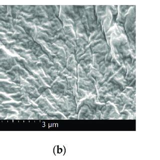 SEM Of LDPE Sections A LDPE B LDPE R M C LDPE H M Download Scientific Diagram