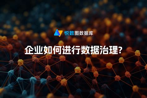 企业如何进行数据治理