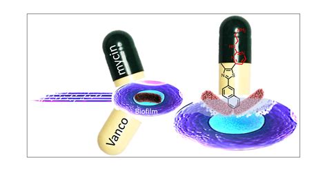 Naphthylthiazoles Targeting Multidrug Resistant And Intracellular Staphylococcus Aureus With