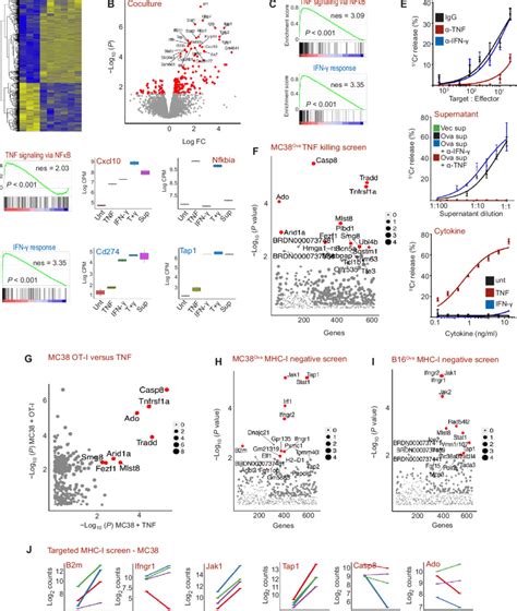 T Cell Derived Cytokines Drive Immune Evasion A Rna Seq Triplicate
