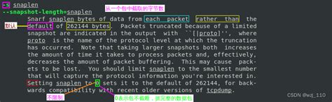 tcpdump 三 命令行参数讲解 二 tcpdump s csdn博客