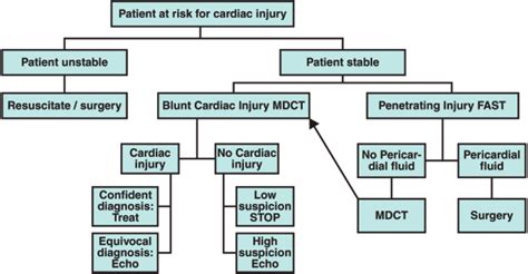 Chart Shows The Suggested Diagnostic Algorithm For Evaluating Patients Download Scientific