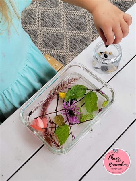 Sorting Seeds Nature Trays Things To Share Remember