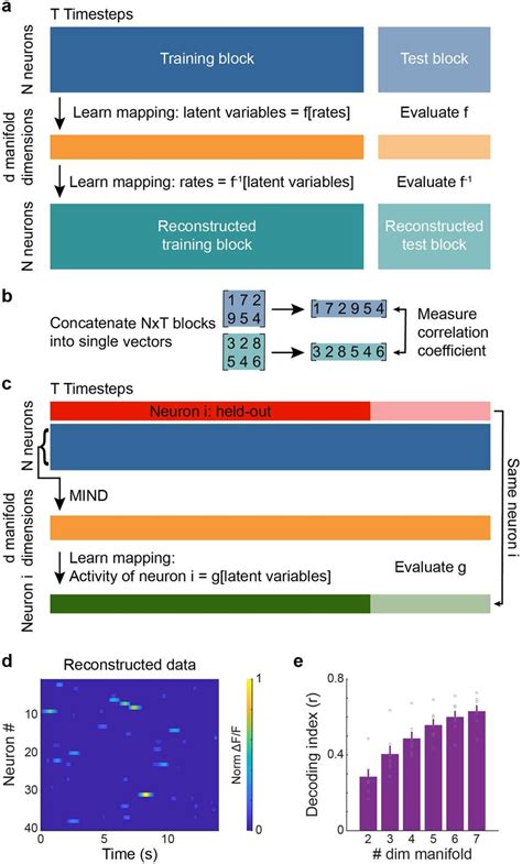 Cross Validation Methods And Results Demonstrating How Neural Activity Download Scientific