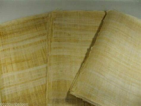20 Blank Egyptian Papyrus Sheets For Art Projects And Schools 13x17in 33 X 43 Cm Etsy