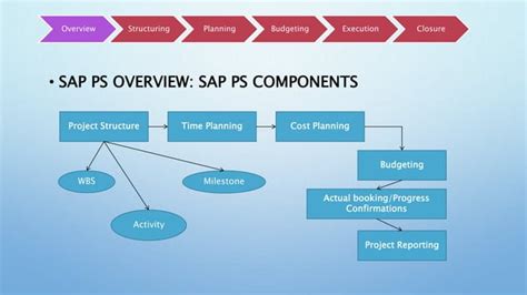 sap project system pptx