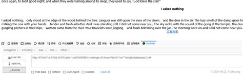 ctf show web 解题笔记（web7~web10） ctfshow web7 csdn博客