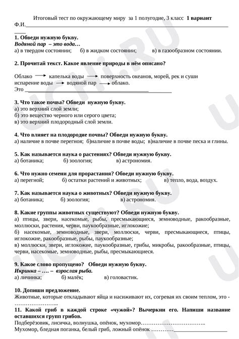 🖍 Проверочная работа №12 по теме “Итоговый тест по окружающему миру за 1 полугодие 3 класс” для