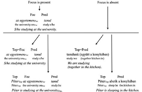 Construction Of Hungarian Sentences Download Scientific Diagram