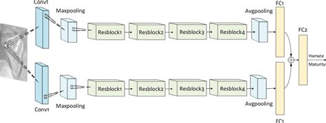 The Structure Of Enhanced Characteristic Residual Networkecr‐net Download Scientific Diagram