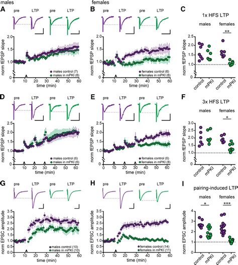 Latent Sex Differences In Molecular Signaling That Underlies Excitatory