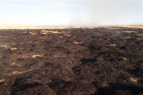 СҮХБААТАР АЙМГИЙН ЭРДЭНЭЦАГААН АСГАТ СУМАНД ГАРСАН ХЭЭРИЙН ТҮЙМРИЙГ УНТРААХААР АЖИЛЛАЖ БАЙНА