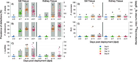 Bar Plots Of Pathogen Prevalence Bars Primary Y Axis Overlaid With Download Scientific