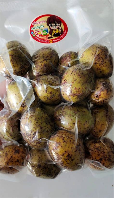 พร้อมส่ง มะกอกใส่ส้มตำ มะกอกป่า แพค 500 กรัม ได้ 14 15 ลูก มะกอกป่าออกตามฤดูกาล หอม หวาน