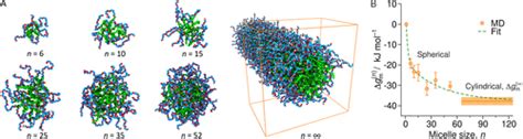 Interface Adsorption Versus Bulk Micellization Of Surfactants Insights From Molecular