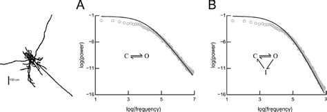 Power Spectrum Of Models With Synaptic Inputs Distributed In Dendrites