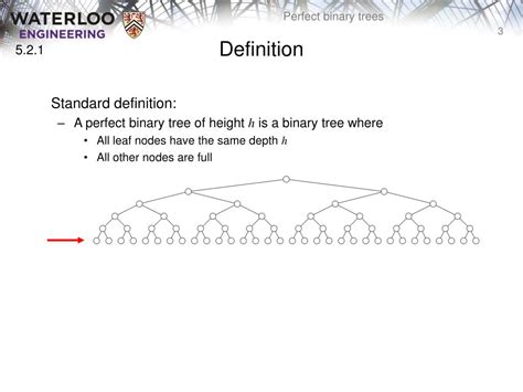 Ppt Perfect Binary Trees Powerpoint Presentation Free Download Id