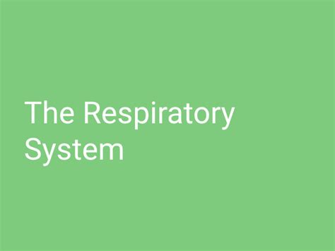 A Level Pe Aqa Respiratory System Powerpoint Teaching Resources