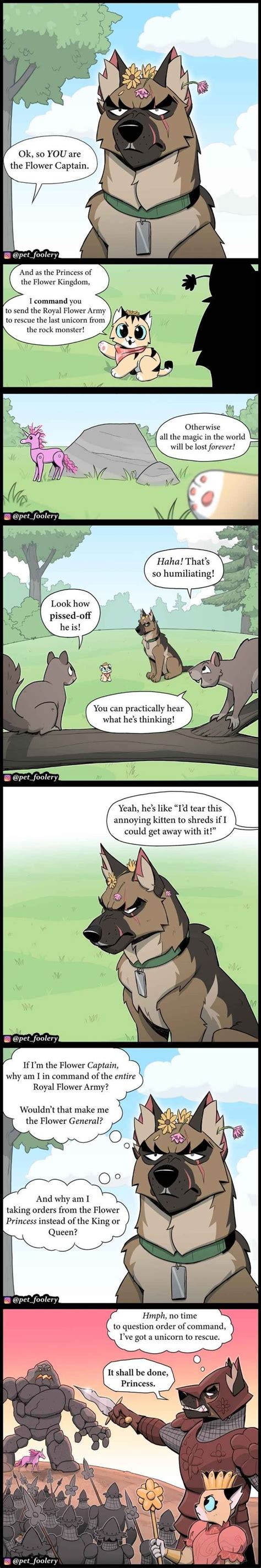 Pixie And Brutus Comic For More Join Us Pixie And Brutus Comic