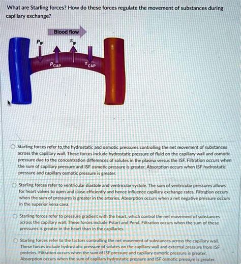 What Are Starling Forces How Do These Forces Regulate The Movement Of