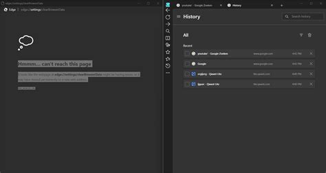 WebView2 History Clear Default Page Failing Issue 3153 MicrosoftEdge WebView2Feedback